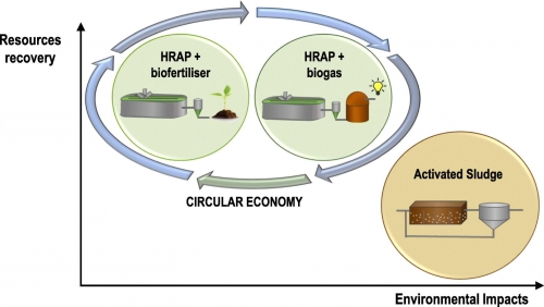 SuPER-W Journal Publication: Life cycle assessment of high rate algal ...